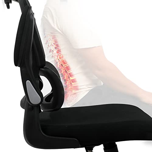 BAOMKONG Office Chair with Flip Up Arms High Back Desk Chair,Adjustable Headrest and Tilt Function,Support 360°Swivel Computer Chair Task Chair,Executive Chair (Black)