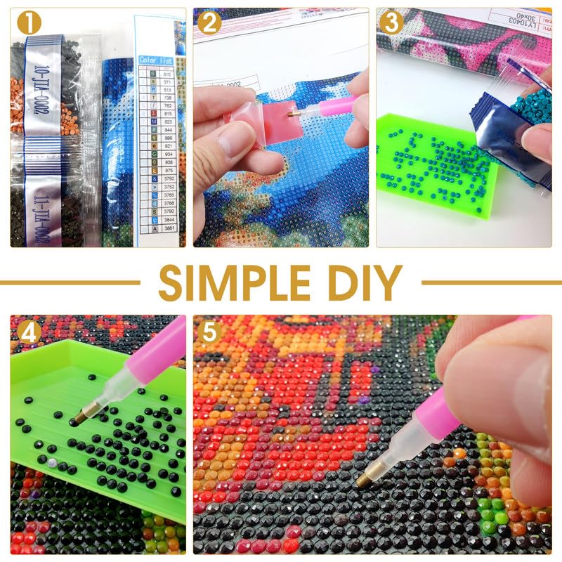 Bimkole 5D Diamond Painting Kits, Full Drill DIY Rhinestone Embroidery Set Paint with Diamonds Art by Number Kits Cross Stitch Home Wall Craft Decoration (12x16 inch)#b121