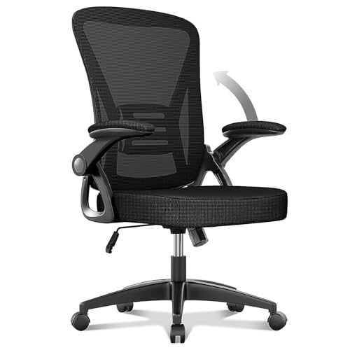 Home Office Chair Ergonomic Desk Chair Mesh Computer Chair with Lumbar Support (Black)