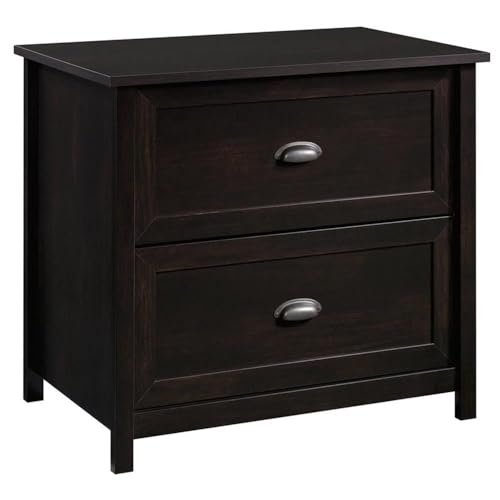 Pemberly Row Engineered Wood 2-Drawer Lateral File Cabinet in Estate Black