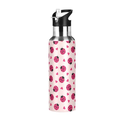 Cute Ladybugs and Hearts Insulated Water Bottle with Straw, Stainless Steel Sports Water Bottles, Double Wall Vacuum, Leakproof, BPA-Free 20 oz