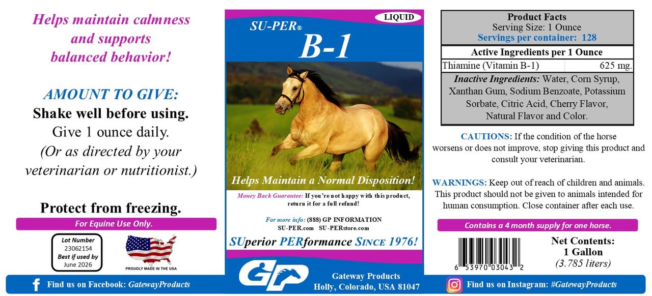 SU-PER B-1 Horse Calming Supplement - Equine Vitamin B-1 Support Horse Calmer Liquid - Appetite Booster Supplement for Horses - 1 Gallon, 4 Month Supply
