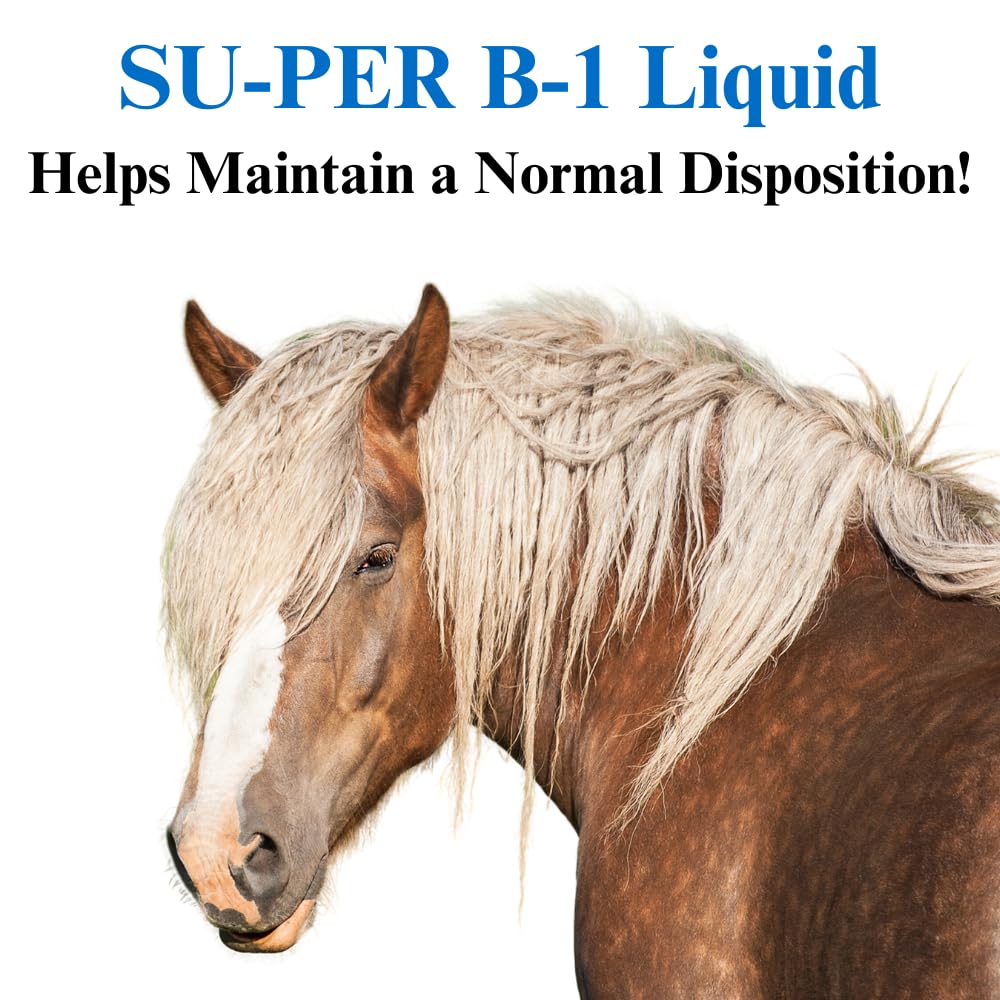 SU-PER B-1 Horse Calming Supplement - Equine Vitamin B-1 Support Horse Calmer Liquid - Appetite Booster Supplement for Horses - 1 Gallon, 4 Month Supply