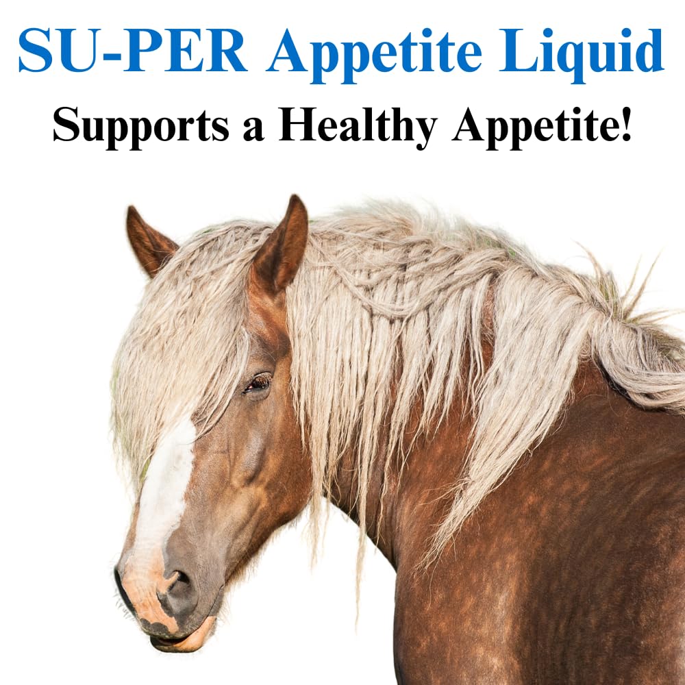SU-PER Appetite Supplement for Horses - Equine Appetite Booster Liquid Feed Supplement - Vitamin Support for Healthy Appetite - 1 Quart, (2 Pack)