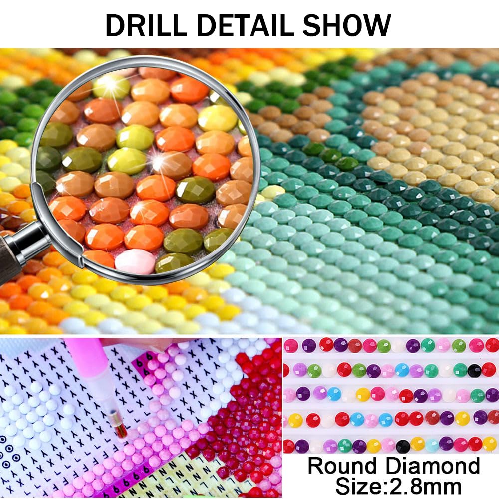 Diamond Painting Kits for Adults Flowers DIY 5D Diamond Art Kits Full Drill Diamond Painting Kits for Beginners,Gem Art and Crafts Home Decor 16x20inch