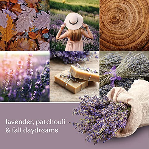Yankee Candle Dried Lavender & Oak Scented, Classic 22 Oz Large Jar Single Wick Aromatherapy Candle, Over 110 Hours of Burn Time, Ideal for Creating a Welcoming Home (Pack of 2)