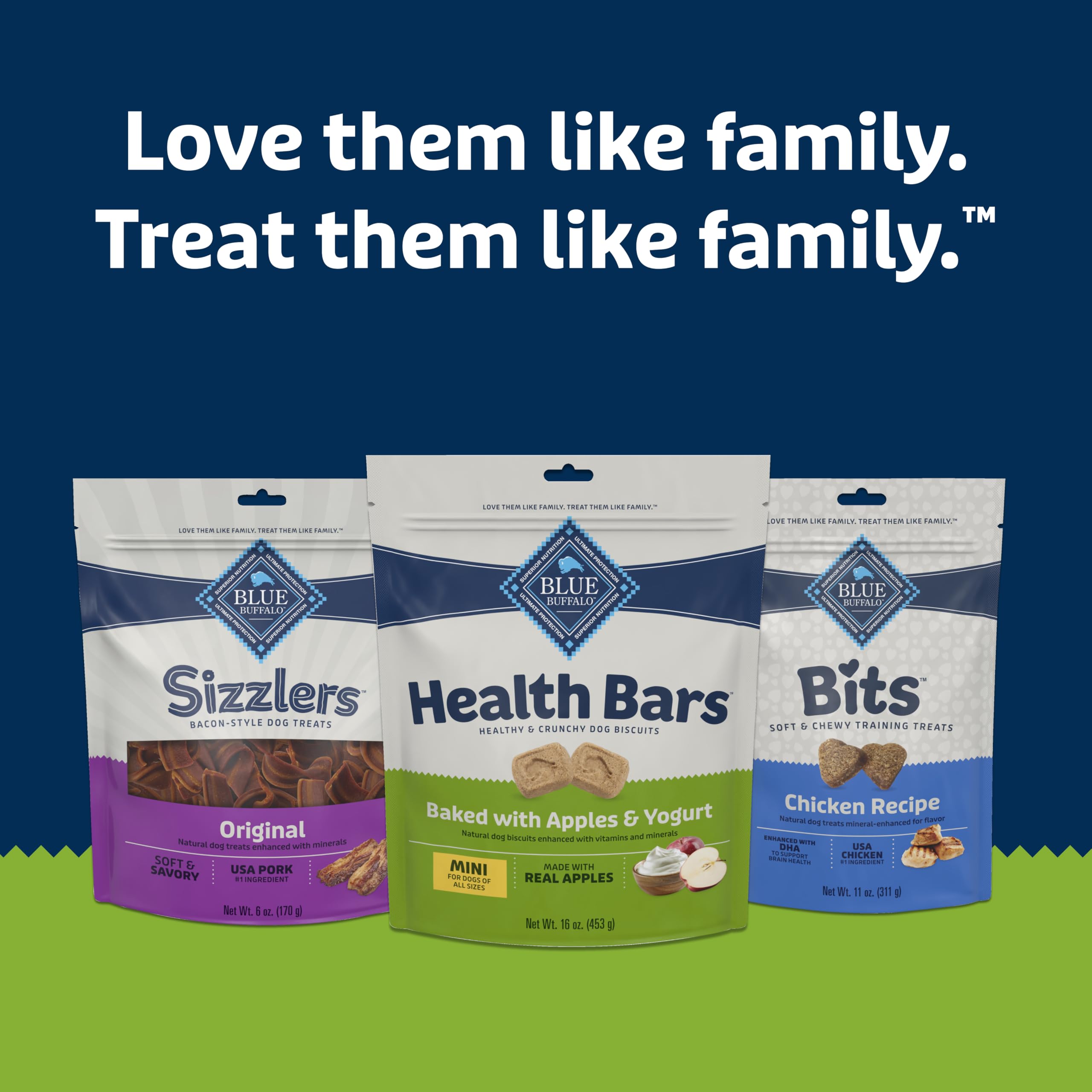 Blue Buffalo Health Bars Mini Crunchy Dog Biscuits, Oven-Baked with Natural Ingredients, Apples & Yogurt, 16-oz Bag