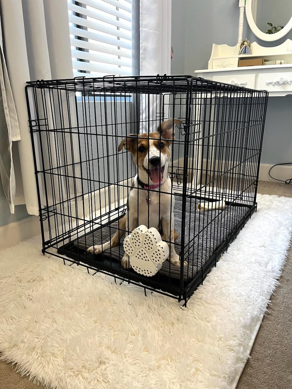 Rescue Retriever- Smoke Detector for pet Rescue in a Smoke or fire Emergency.