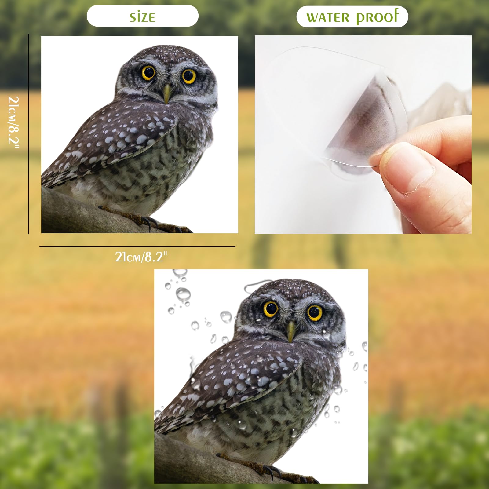ROLY BEE 8.2 x 8.2-inch Realistic Owl Removable Vinyl Sticker for Windows (or Any Flat Surface)
