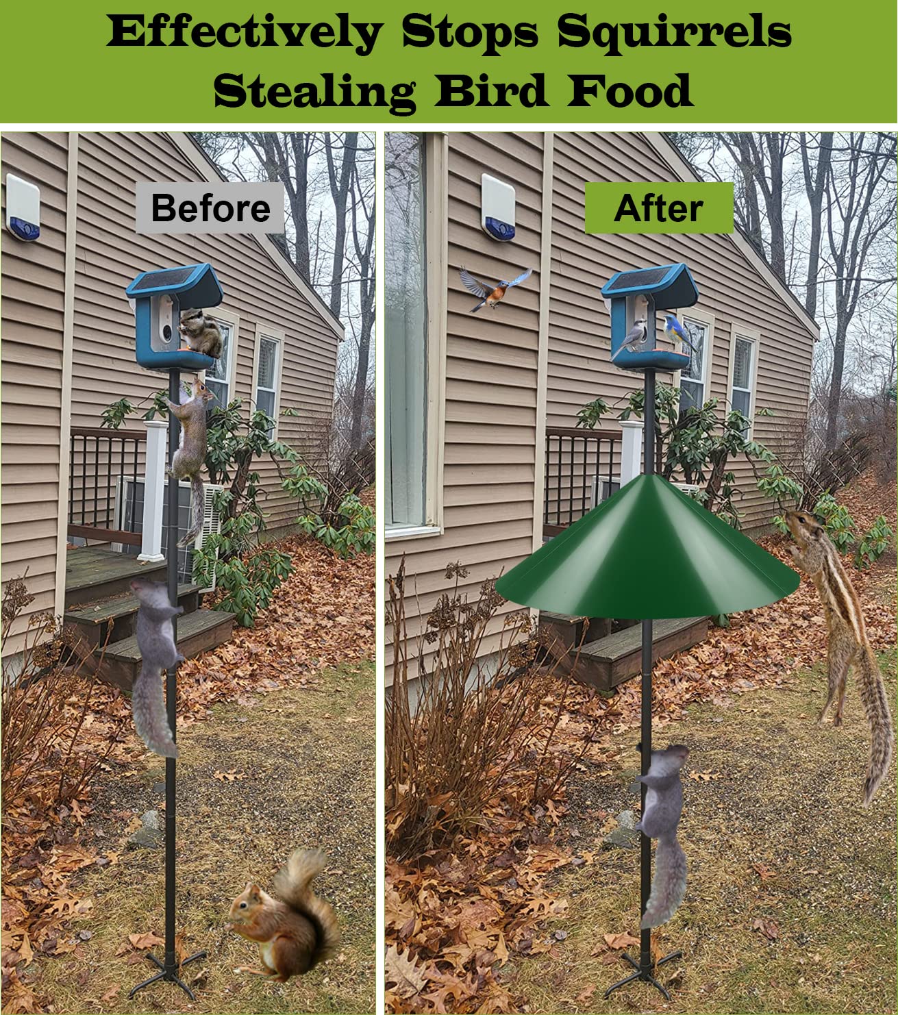 Ansionsol 19 Inch Wide Squirrel Baffle for Bird Feeder Pole, Outside Pole Mount Stopper & Bird House Guard for Outdoor Shepherd’s Hook, Green, 1 Pack