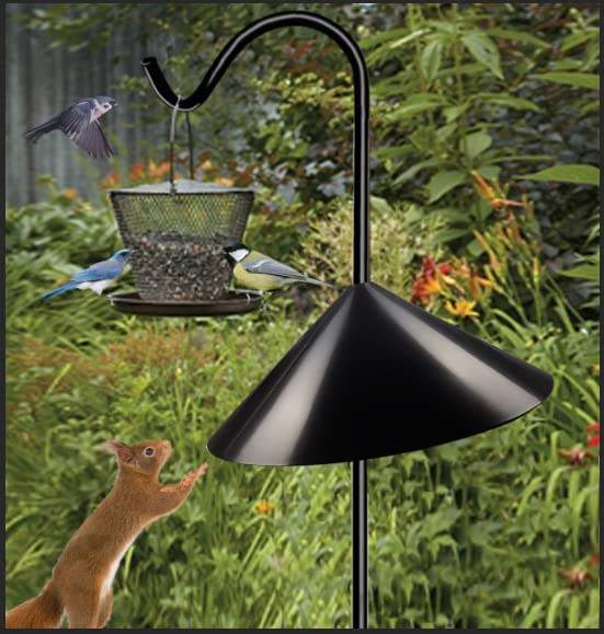 Queension Squirrel Proof Baffle, 19-inch Wide Squirrel Guard Stopper for Outdoor Bird Feeder Poles or Outside Shepherd Hooks, Save Bird Houses from Squirrels, Raccoons, and Rodents, Black, 1 Pack…