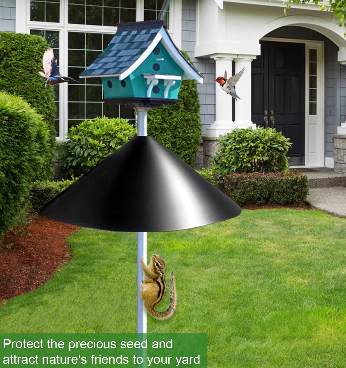 Fandature 19 Inch PP Squirrel Proof Baffle for Protecting Outside Pole Bird Feeders and Bird Houses, Pole Mount Raccoon and Squirrel Guard Stopper for Shepherd Hooks - Black, 1 Pack