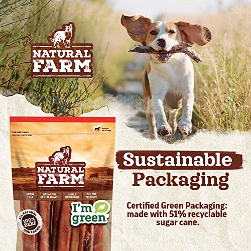 Natural Farm Peanut Butter Flavor Filled Dog Bones (5-6 Inch, 3 Pack), Limited Ingredient Stuffed Dental Dog Bone Treats for Small, Medium and Large Dogs