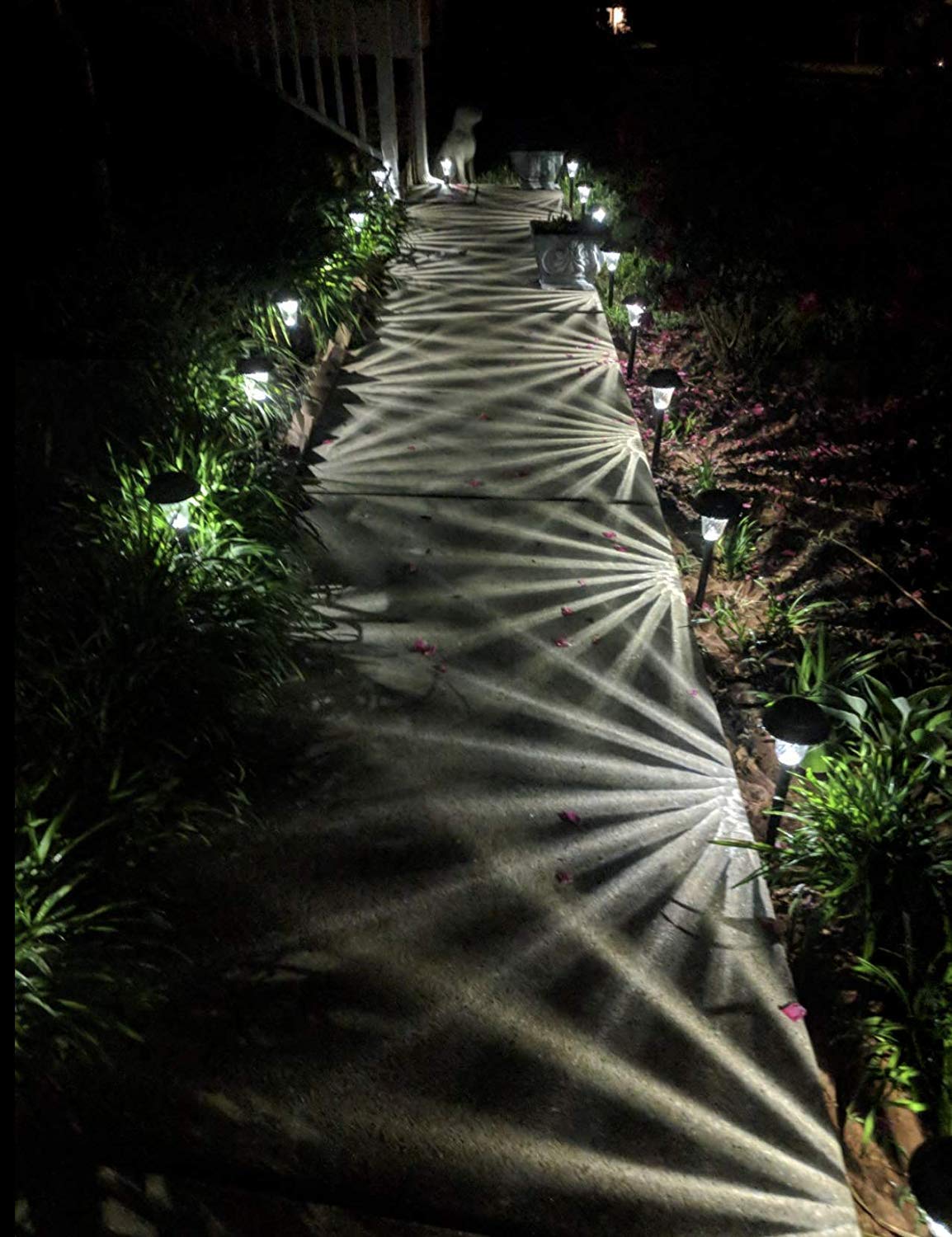 Enchanted Spaces Silver Solar Path Light, Set of 6, with Glass Lens, Metal Ground Stake, and Extra-Bright LED for Lawn, Patio, Yard, Walkway, Driveway