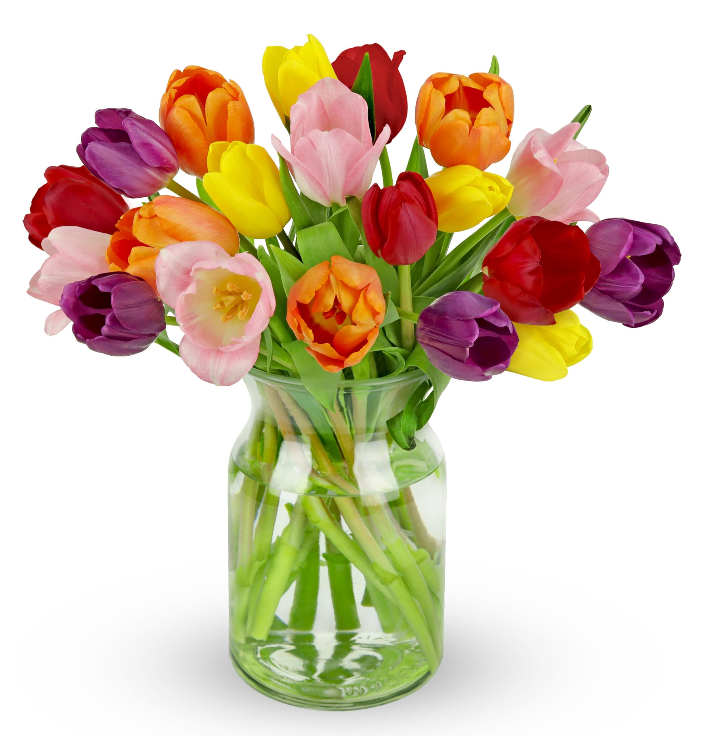 Benchmark Bouquets - 20 Stem Rainbow Tulips (Glass Vase Included) – Fresh Flowers for Delivery - Gift for Easter, Mother’s Day, Birthday, Anniversary, Sympathy, Get Well, Congratulations