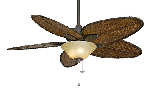 Fanimation Windpointe - 22 inch - Rust with Antique Narrow Oval Blades with Pull-Chain - FP7500RS