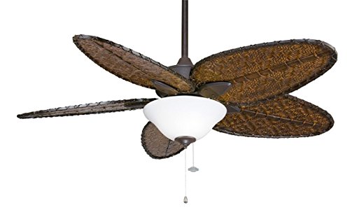 Fanimation Windpointe - 22 inch - Rust with Antique Narrow Oval Blades with Pull-Chain - FP7500RS
