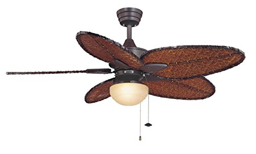 Fanimation Windpointe - 22 inch - Rust with Antique Narrow Oval Blades with Pull-Chain - FP7500RS