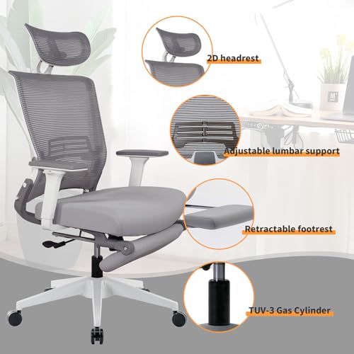 Foldable Ergonomic Office Chair, High Back Desk Chair with Footrest, Mesh Back Computer Chair with 2D Headrest, 2D Armrest, Adjustable Lumbar Support, Soft Sponge Seat, Swivel Task Chair, Gray