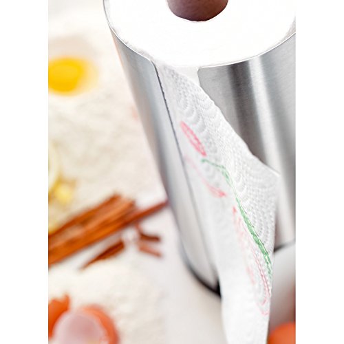 Blomus 68220 Stainless Steel Paper Towel Holder,Black/Red/Blue/Green,Large
