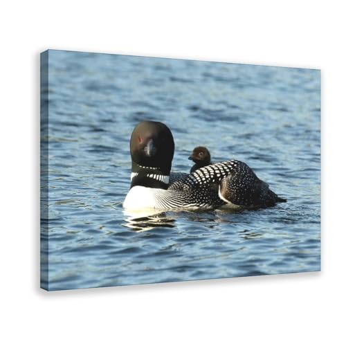 Loon Raft Poster Canvas Poster Wall Art Decor Print Picture Paintings for Living Room Bedroom Decoration Frame: Frame:16x24inch(40x60cm)