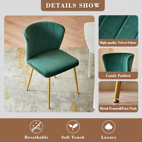 HAIZAO Modern Green Velvet Dining Chairs Set of 2, Curved Backrest Upholstered Kitchen Dining Room Chairs, Mid-Century Dining Chair with Golden Metal Legs