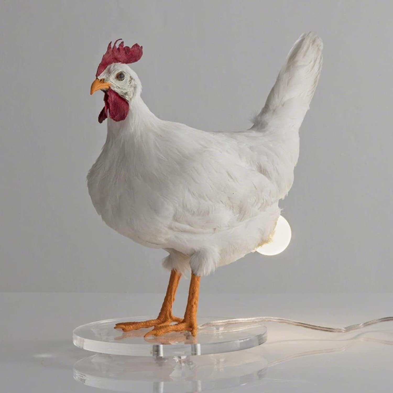 RQPQBO 2023 New Chicken Lamp with Egg in Butt Funky LED Chicken Egg Lamp Resin Chicken Lights Table Decor Funny Chicken Desk Lamp Lifelike Unique Lamps for Home Bedroom Living Room Decor (A)