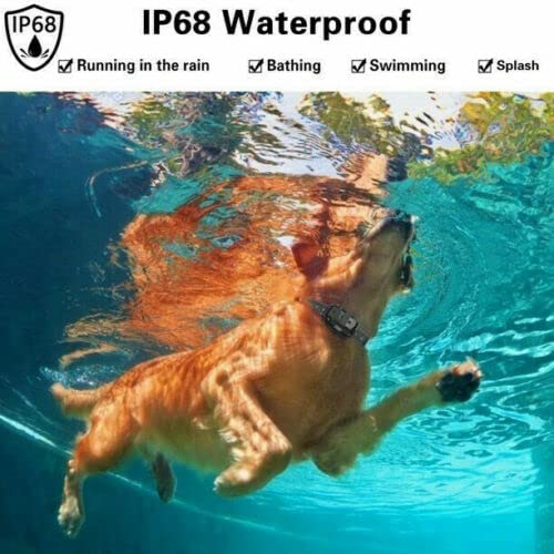 Waterproof Dog Training Collar