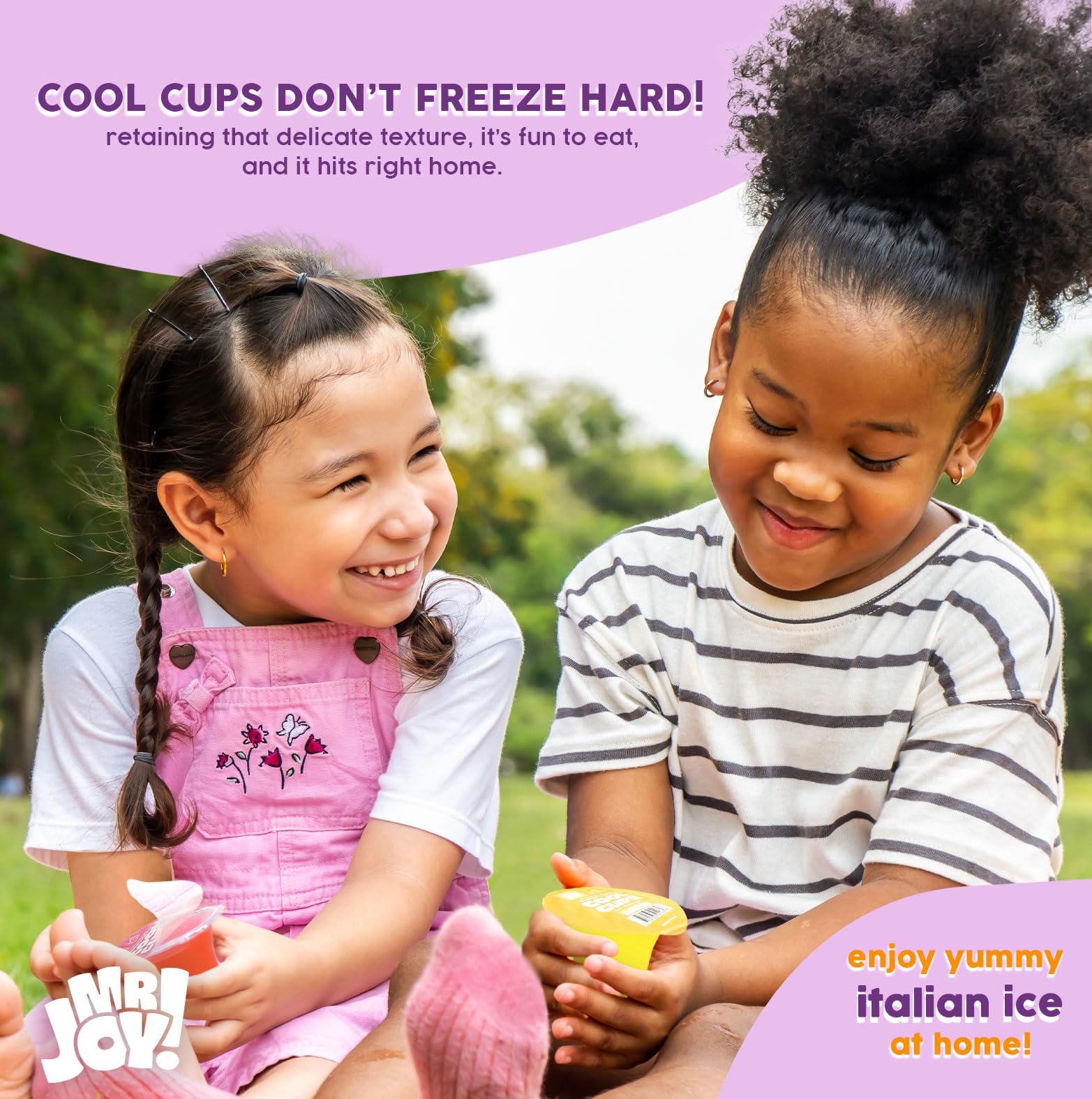 Mr. Joy Soft Italian Ices -Ships Non Frozen Assorted Flavors Mini Cool Cups Variety Pack (40 x 1.34oz) - Freeze & Enjoy - 40 Pantry-safe Mini Italian Ices Dessert Cups (1 Box (40 Cups))