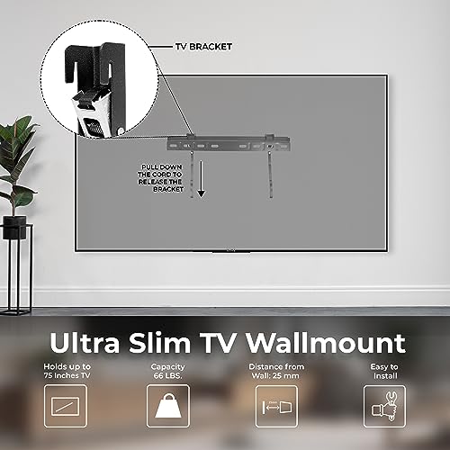 TCL 43-Inch Class 4-Series 4K 2160P LED Smart Roku TV Dual-Band WiFi Works with Siri Alexa and Hey Google (Renewed)