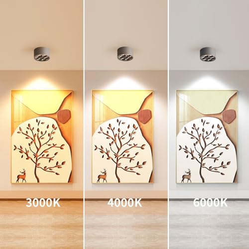 YAOWSZM 2Pack Modern Flush Mount Ceiling Lights 6W LED Dimmable Ceiling Light Fixture Gray Cylindrical Ceiling Spotlight for Living Room Hallway Kitchen