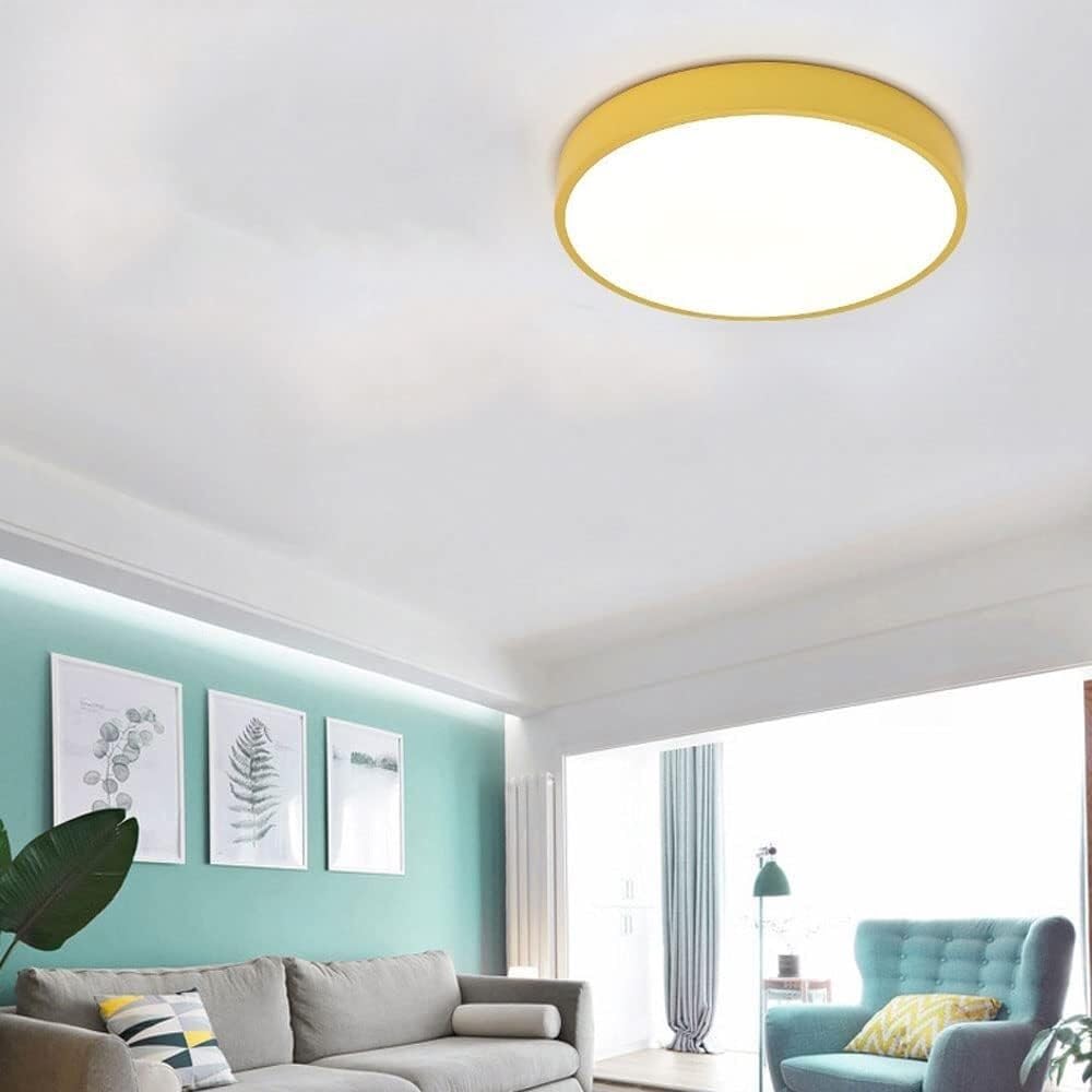 LONGDU European Brief Style LED Flush Mount Ceiling Lamp, Round Ceiling Light,Creative Personality Ceiling Light Fixture,for Bedroom Office Stairs Hotel Living Room Kitchen Hallway (Color : Gold, Si