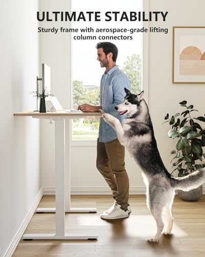 BANTI 40''x24''Height Adjustable Electric Standing Desk, Stand up Table, Sit Stand Home Office Desk with Splice Board, Maple Top
