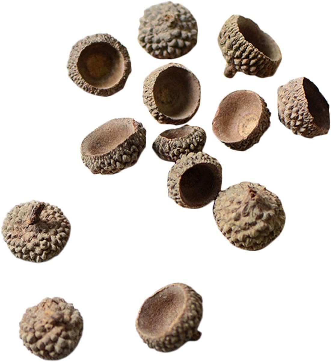 200Pcs Natural Acorns Caps Decorative for Craft Vase Fillers Home Garland Autumn Embellishments Ornaments Vase Fillers