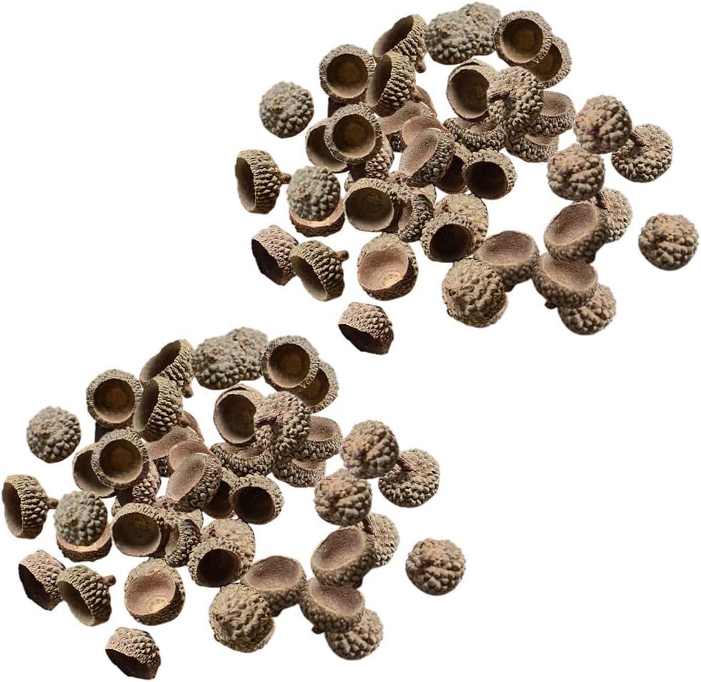 200Pcs Natural Acorns Caps Decorative for Craft Vase Fillers Home Garland Autumn Embellishments Ornaments Vase Fillers