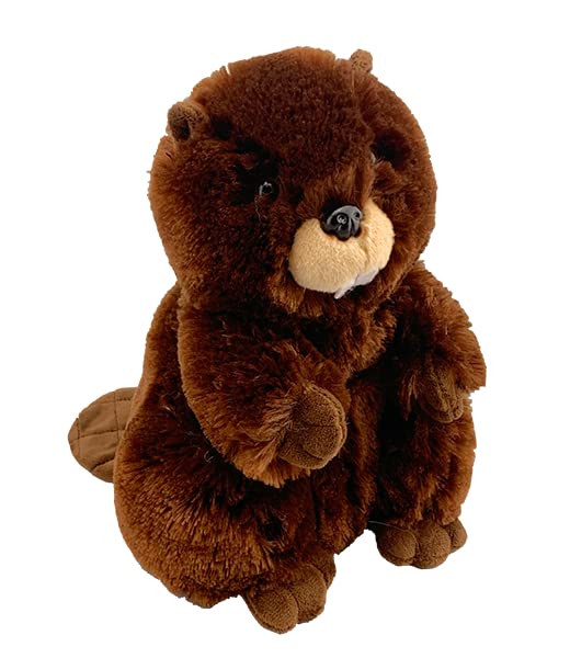 PLUSH TOYS WONDERLAND Justin Beaver Plush Toy, 8-Inch Huggable Stuffed Brown Beaver Zoo Animal, for Kids, Birthdays, Baby Showers, & Toddlers