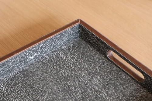Graphite Sting Tray — Large — by Alice Lane Home Collection — Striking Graphite Color — Decorative Tray — Coffee Table, Office — Opposing Open Handles