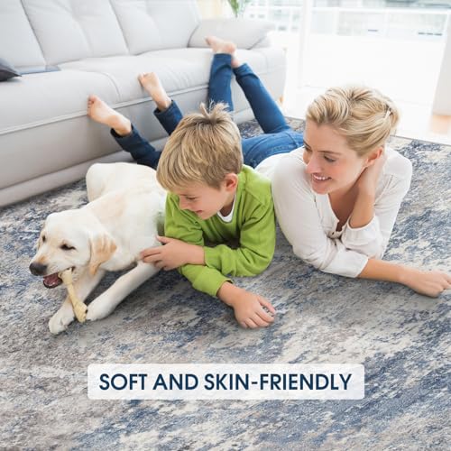 Area Rug Living Room Rugs: 5x7 Indoor Soft Fluffy Rug Abstract Carpet for Bedroom Kitchen Dining Room Floor Washable Plush Throw Large Accent Rug Home Office Nursery Decor - Gray/Blue
