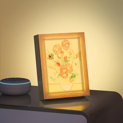 ESUE Idea Art Design Night Light for Kids or Family, Picture Desk Lamp, 8.6 inch Bedside Table Lamp, 3 Light Modes Dimmable Desktop LED for Living Room Home Office Gifts (VG-Sunflowers)