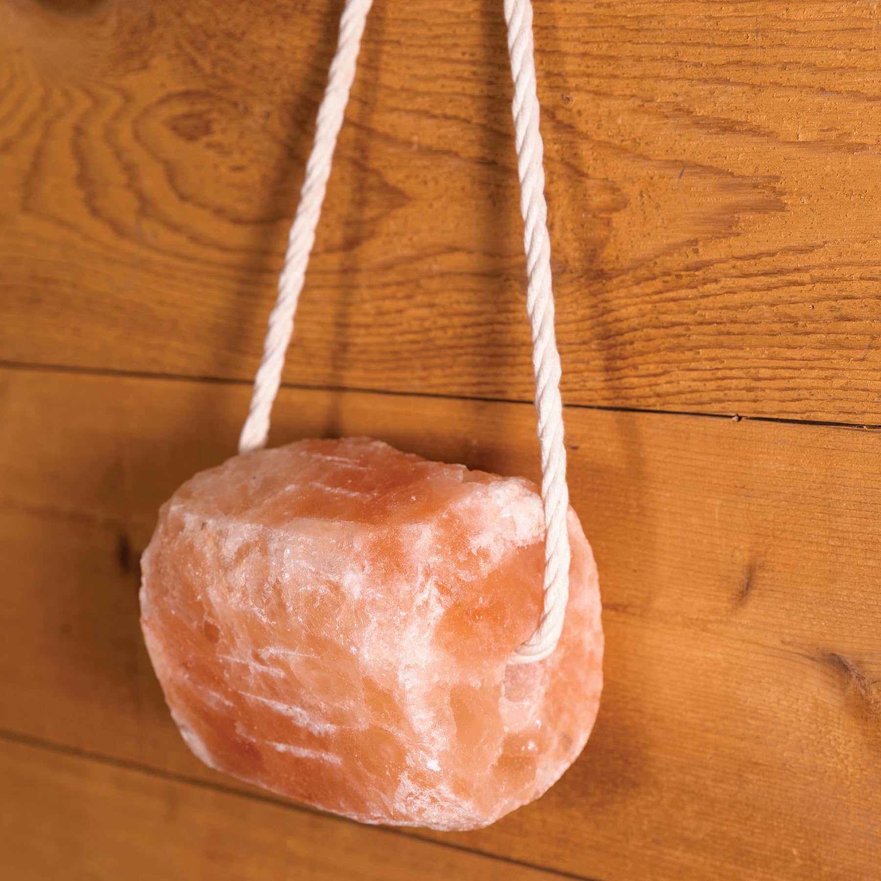 Schneiders Himalayan Horse Rock Salt Lick | Natural Mineral Source | Assures Balanced Mineral Intake | Boredom Reliever | Various Weights on Rope | 6.6 lbs w/Rope