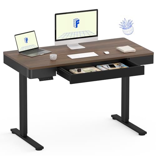 FLEXISPOT Q5 Standing Desk with Drawer, 48 x 24 Inch Electric Adjustable Height Stand Up Desk with Storage Organizer, Whole Piece Wooden Desktop for Home, Office, Computer Workstation, Dark Brown