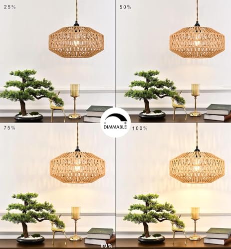 QIYIZM Plug in Pendant Light Hanging Lights with Cord Rattan Boho Hanging Lamp Dimmable,Wicker Bamboo Woven Lamp Shade,Ceiling Light Fixture for Living Room Bedroom Kitchen