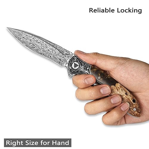 TRIVISA Damascus Folding Knife for Men,3.6'' Hand Forged 110 Layers Steel Hunting Blade,Resin and Wood Handle with Pocket Clip,Virgo-07Y