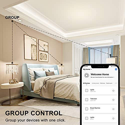 IBRIGHT Smart Plug, High Security with Overload Protection, Smart Wi-Fi Outlet Compatible with Alexa, Google Assistant and IFTTT, APP Remote Control &Timer Function, 15AMP (2.4Ghz Wi-Fi Only, 2 Pack)