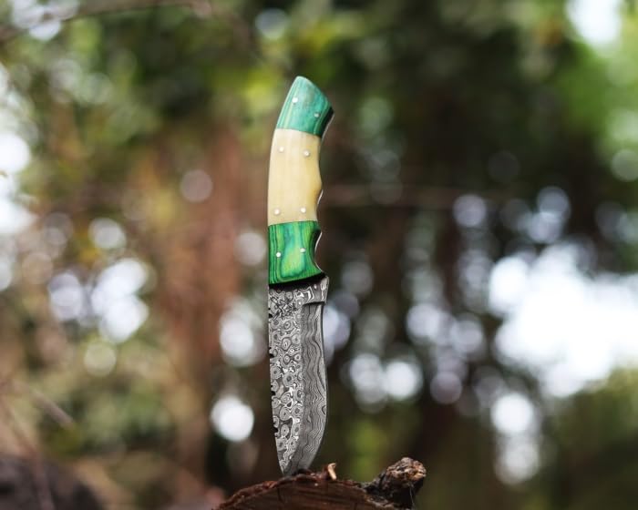 ADAM KNIVES Fixed Blade Damascus Steel Hunting Knife With Leather Sheath, 9'' Full Tang Skinning, Non-Slip Wooden Handle, Camping (Green Wood)