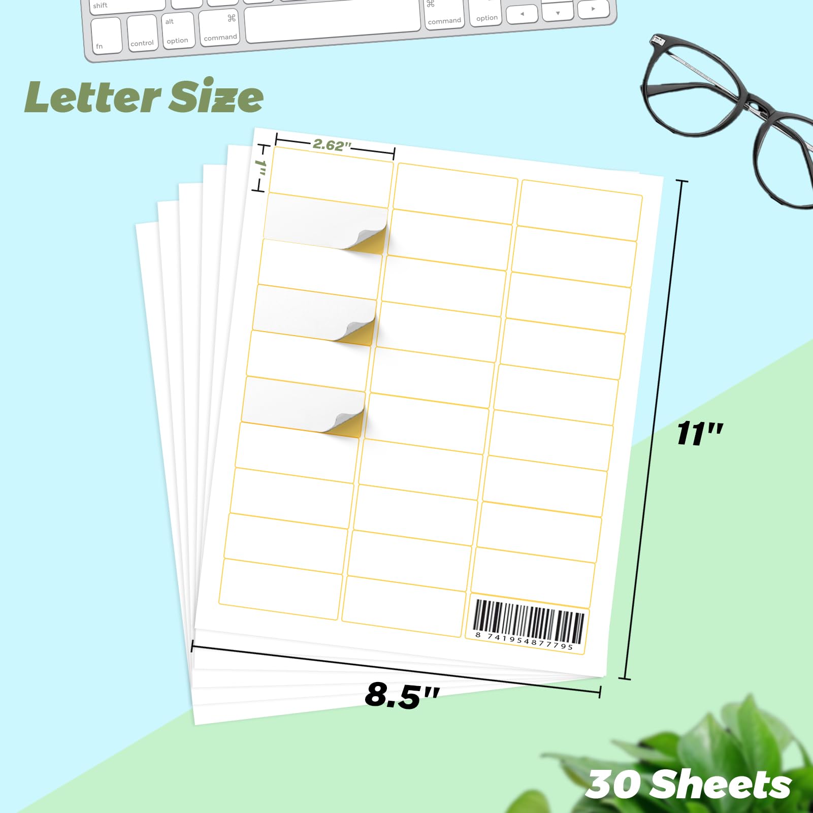 HABGP Return Address Labels, 1" X 2-5/8" Matte Mailing Label Stickers Personalized for Laser/Inkjet Printer, Shipping, School Supplies, White Labels (30 per Sheet, 30 Sheets, Total 900 Labels)