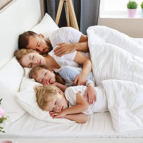 cotton-choice 6 Piece Full Size 100% Pure Cotton Bedding Sheet Sets 600 Thread Count Soft & Long Lasting Sheet Set Easy Fit Upto 21 Inch Deep Pocket - Pink Solid
