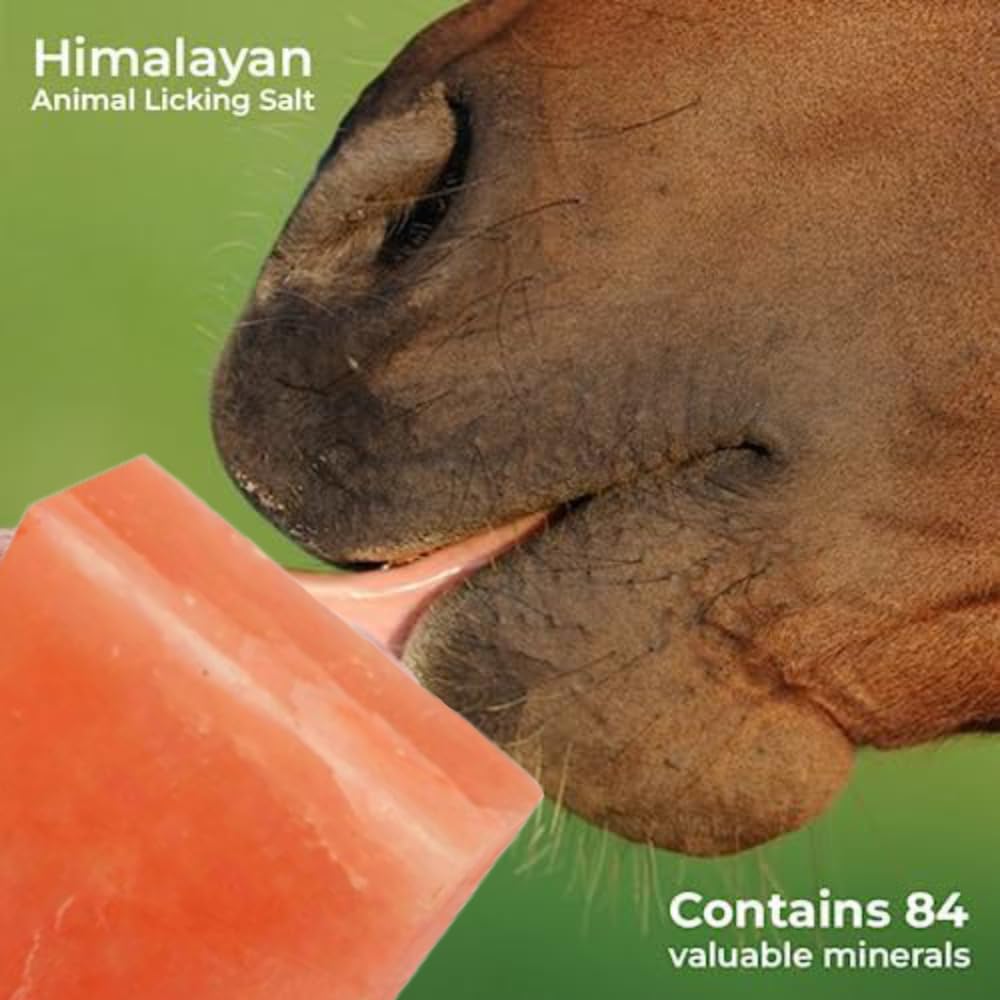 Himalayan Salt Lick Block for Horses, Deer-, Goats, Cattles & Cows | Pack of 2, Pink Salt Licks for Animals, Licking Salt Brick Packed with Minerals