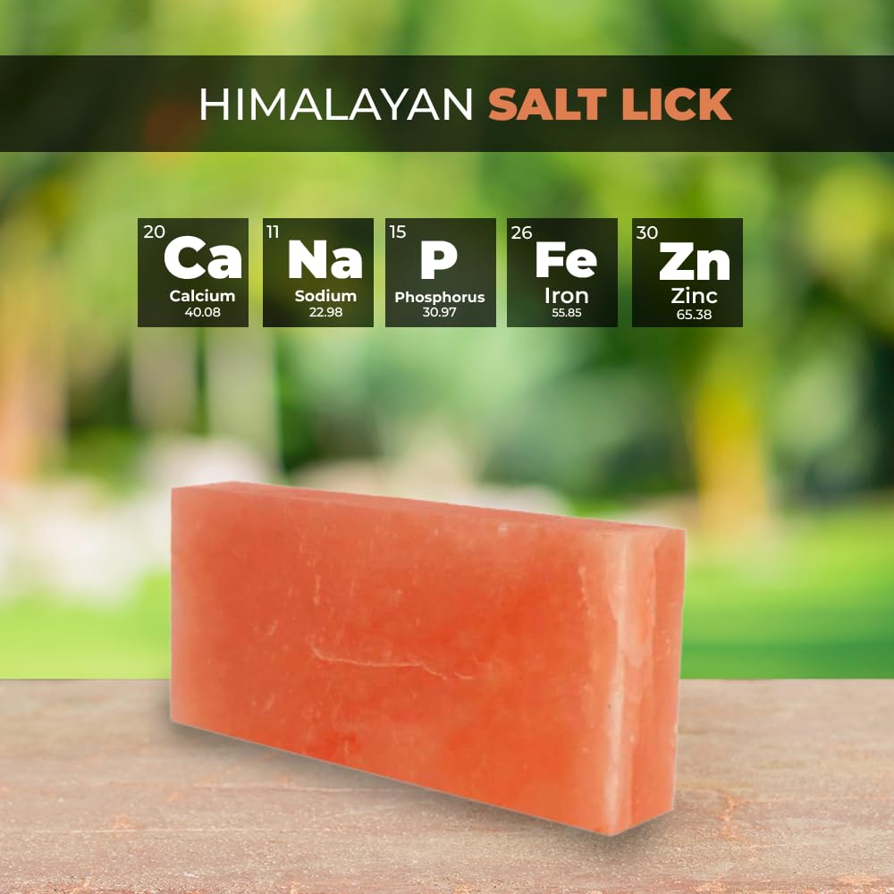 Himalayan Salt Lick Block for Horses, Deer-, Goats, Cattles & Cows | Pack of 2, Pink Salt Licks for Animals, Licking Salt Brick Packed with Minerals