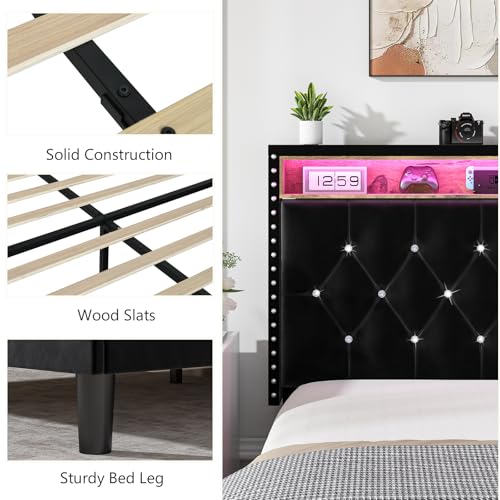 HOMBCK Queen Size Bed Frame with Led Lights, Storage Shelf Headboard, Black Velvet Upholstered, No Box Spring Needed, Noise-Free